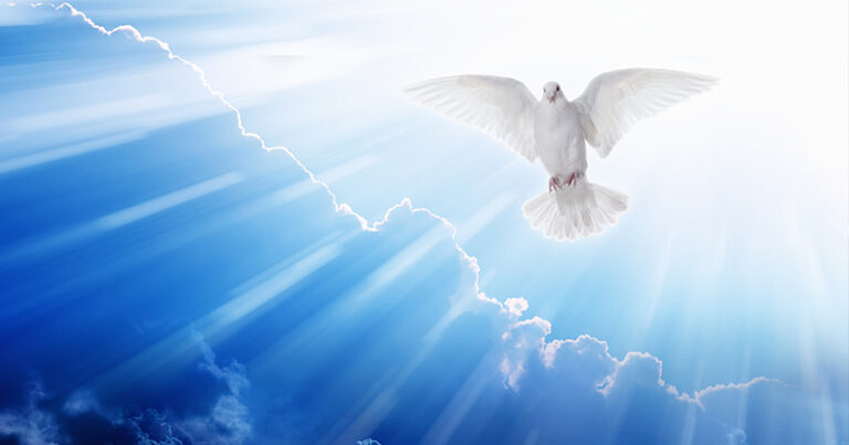 The Power of the Holy Ghost – Truth Revealed Int'l Ministries